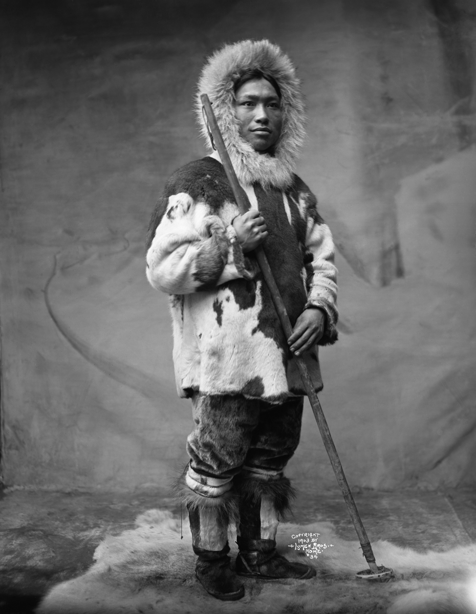 Musée Héritage Museum: New exhibit at the museum, Arctic Life: Lomen ...