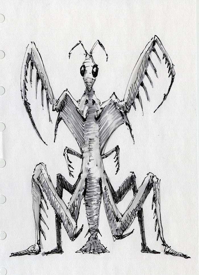 Les dessins de Daniel: Insecte monstre - Insect monster