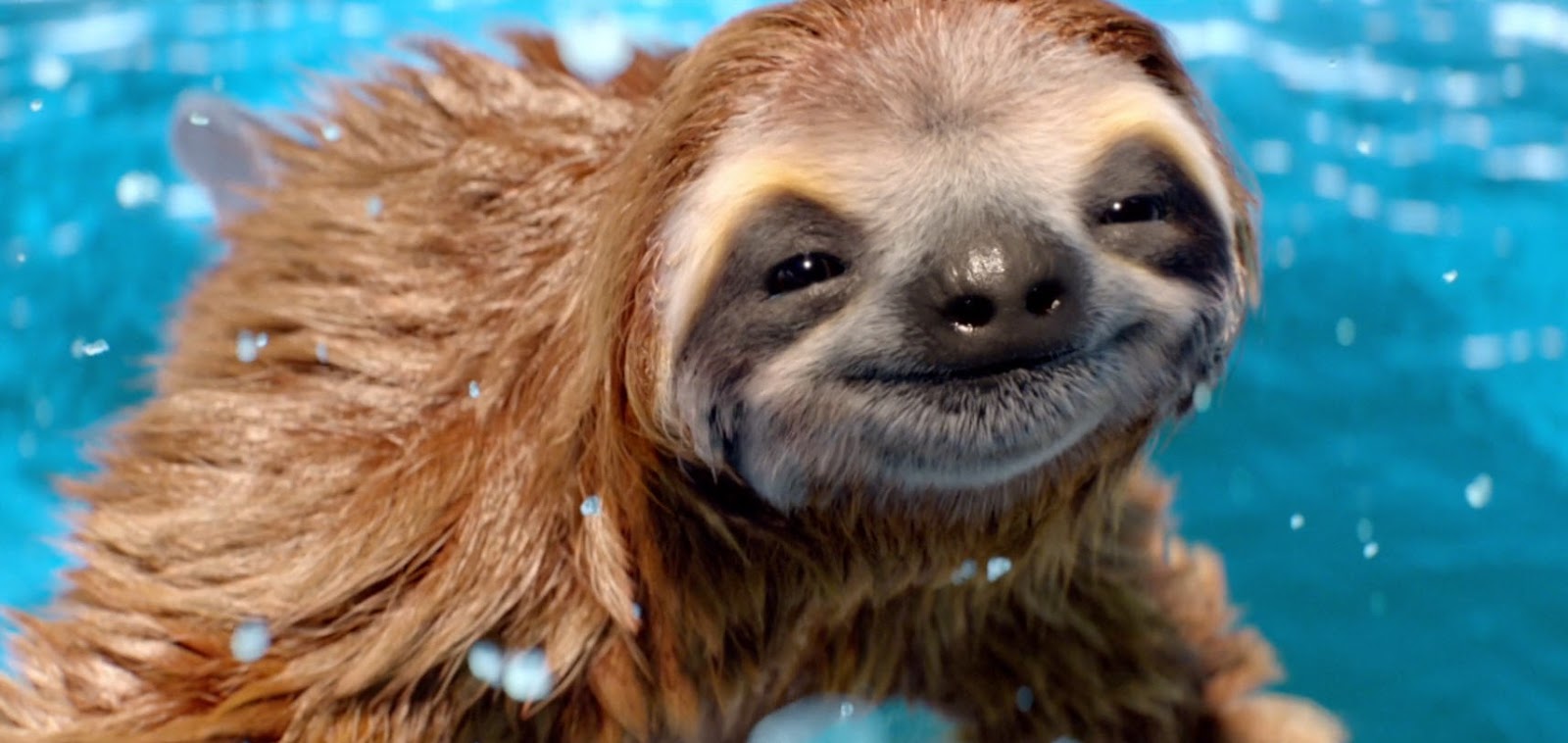 CGI Animals & Creatures Reel by The Mill | Computer Graphics Daily News