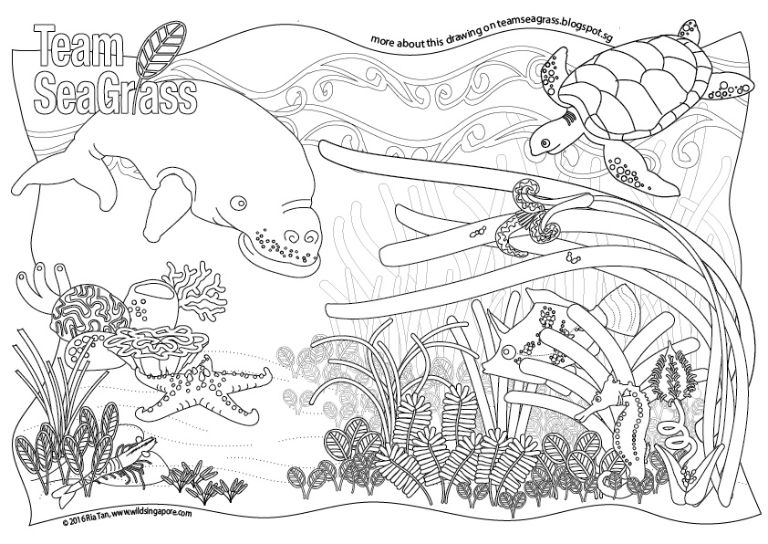 Sea Grass Coloring Pages Coloring Pages