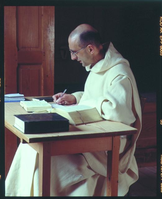 Notes from Stillsong Hermitage: Diocesan Hermits as Hothouse Blooms?