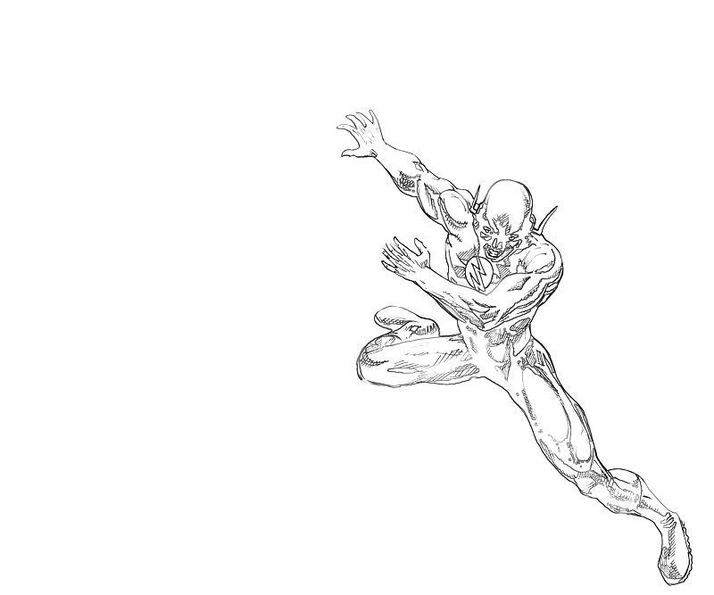 Black Flash Action | Lowland Seed