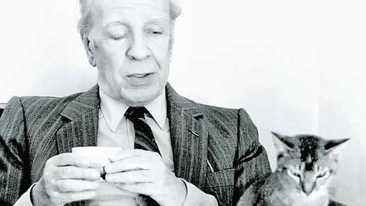 Reflexiones Apresuradas: 2013