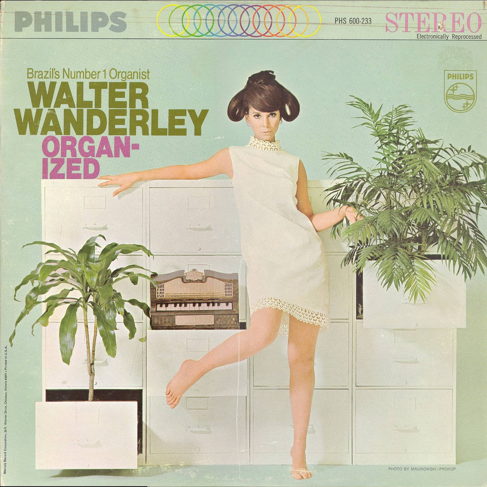 egroj world: Walter Wanderley • Organ-ized