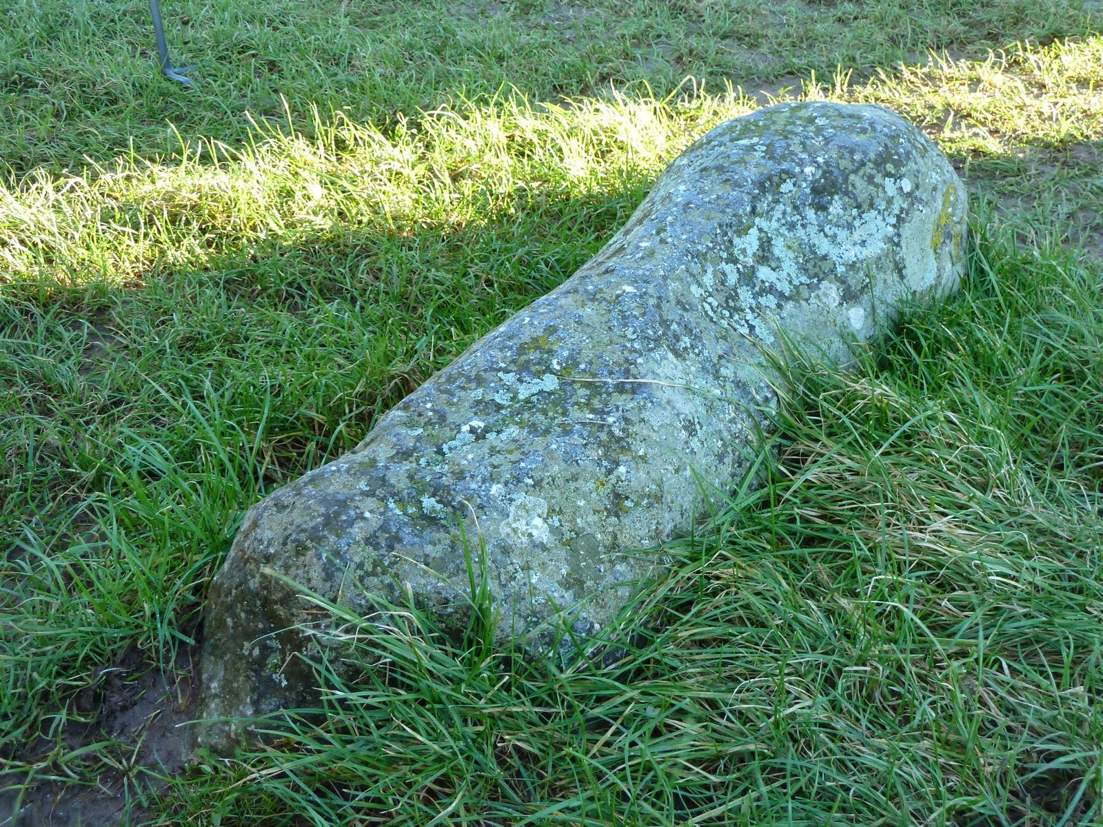 The Stones of Stonehenge: Stone 65