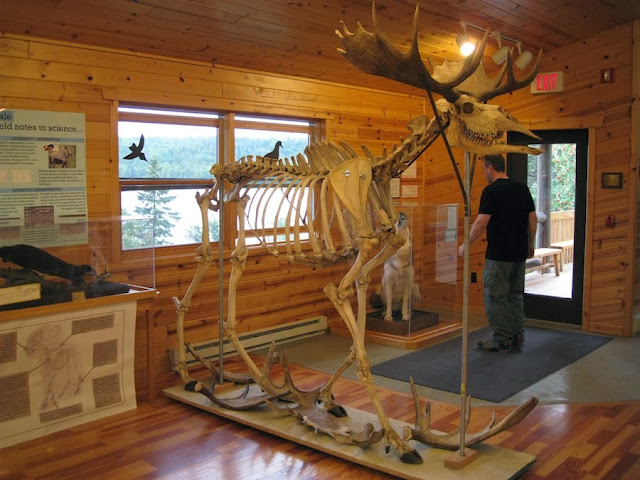 Black Coffee at Sunrise: Isle Royale National Park 2013 | Day One