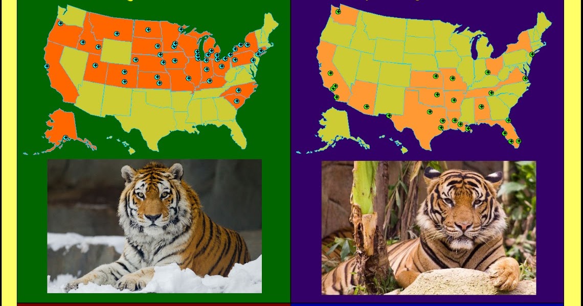 randuwa: Tiger Species Survival Plan Research Project