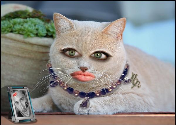 Amazing Pictures Of Human Faced With Animals ~ FunGur.BlogSpot.com