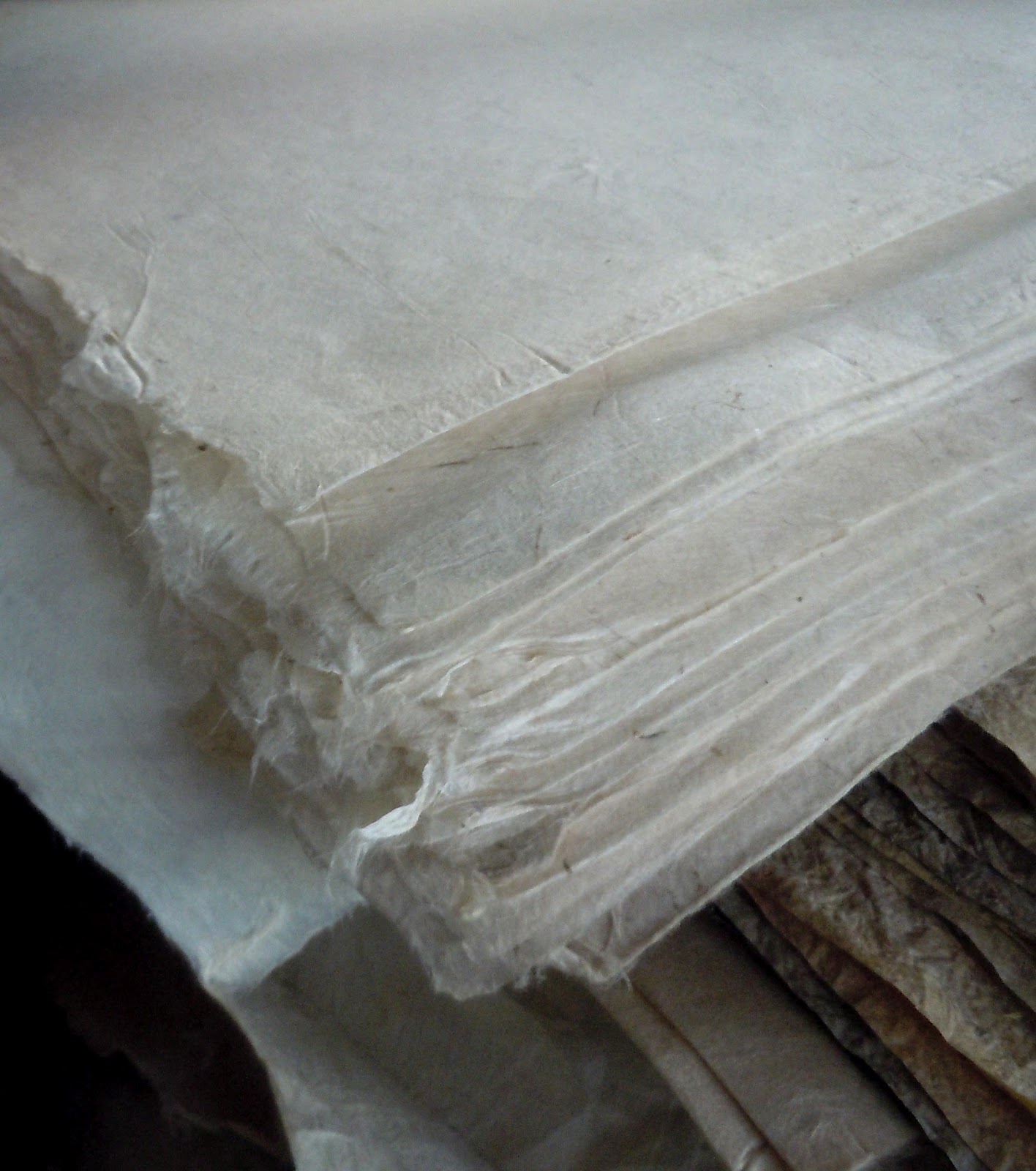 Just About Everything: Handmade natural paper in Kalimpong