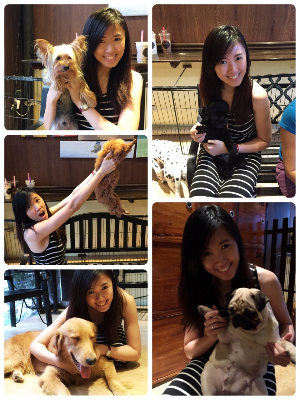 What Mary Loves: Love at First Bark: Barkin’ Blends Café