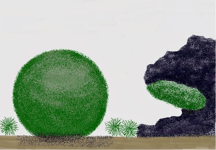 The Fern and Mossery: Marimo Moss Ball Terrariums from ...