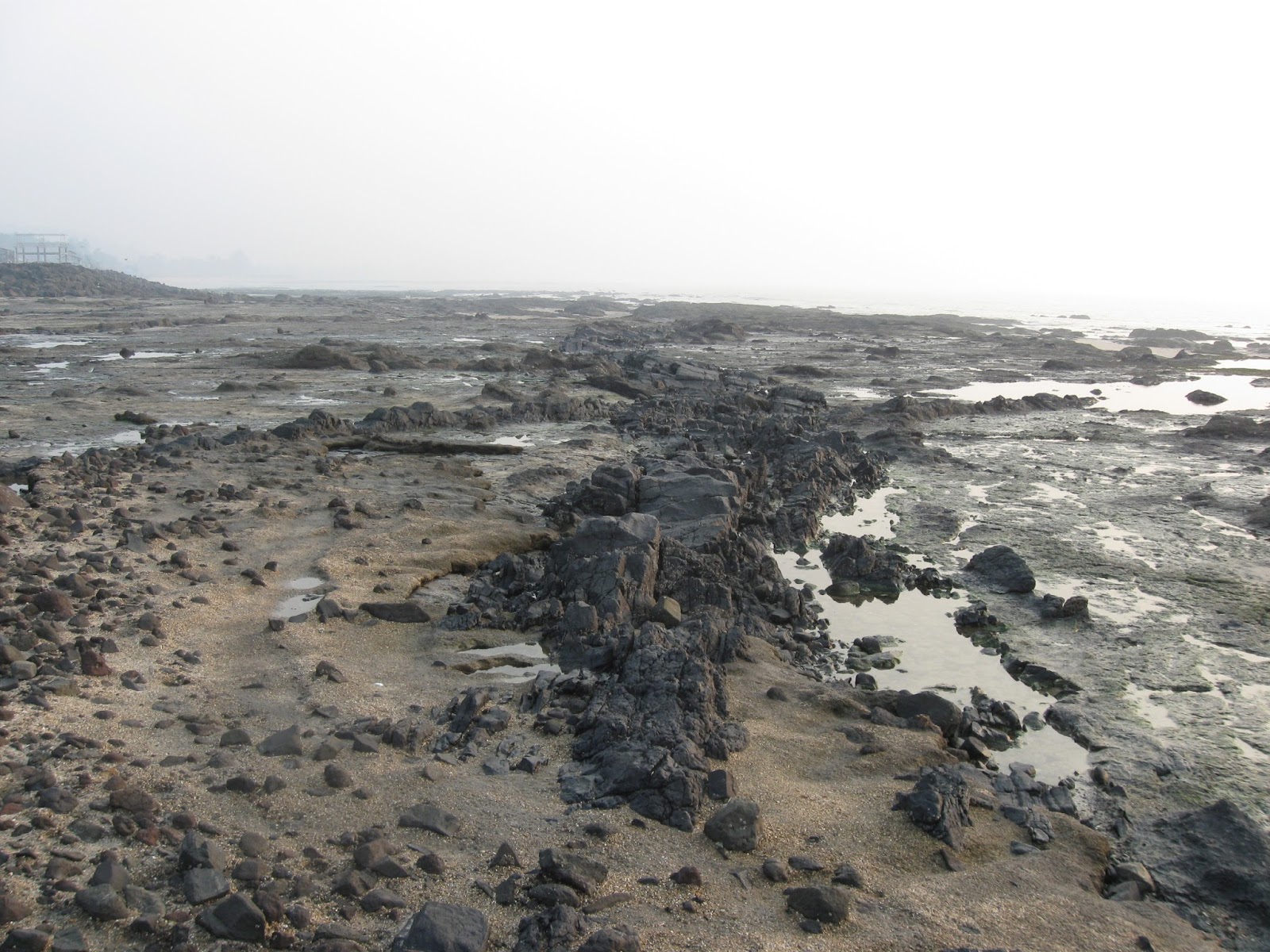 Rapid Uplift: Field Photos: Dikes At Korlai, India West Coast