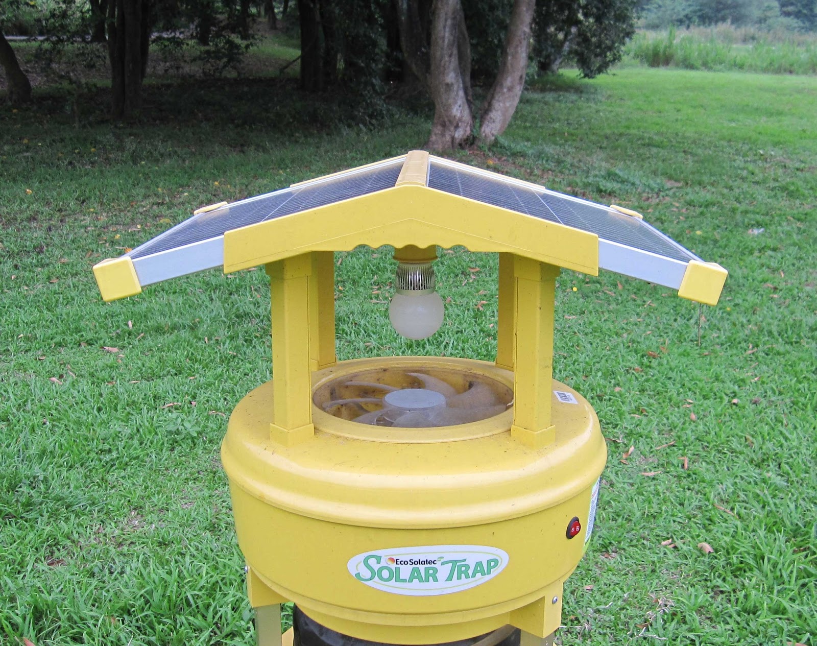 Estudiando Agricultura en Taiwán: Trampas para insectos