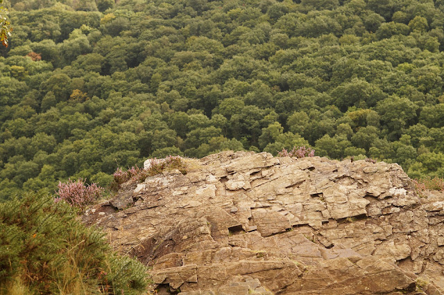Castle Drogo and the walk to Fingle Bridge through the Teign Gorge ...