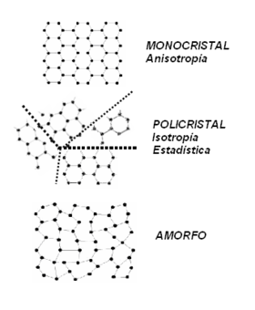 Biología: Tema 7