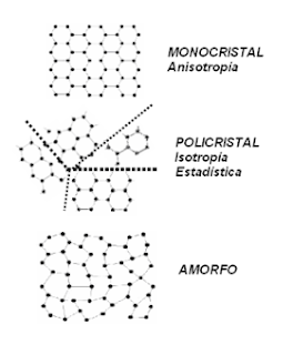 Biología: Tema 7