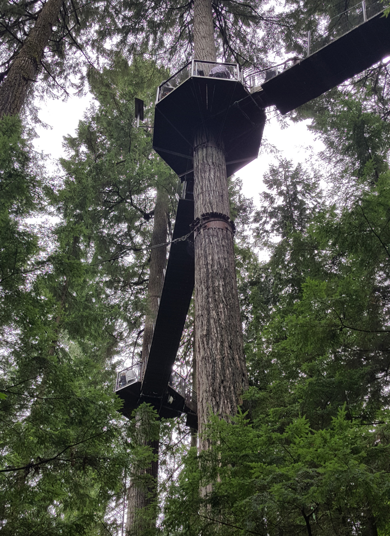 The Happy Pontist: Canadian Bridges: 6. Treetop Walkway, Capilano ...