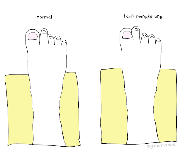 Mengkarung Dan Semut | Zyraroxx