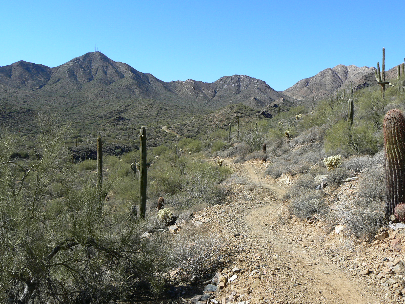 Palm Creek Hikers: Dixie Mine Trail Hike November 23, 2012