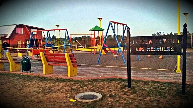 Niño de 11 años con riesgo vital tras caer de columpio - PL Prensa