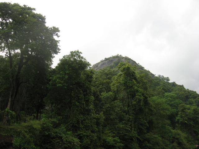 Love to Travel: Keerippara- Maramalai- Olakka Aruvi