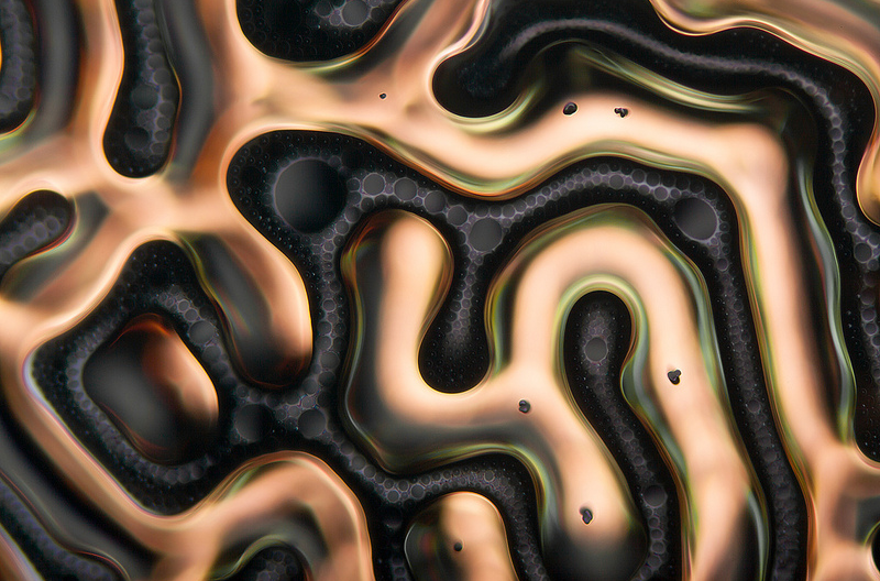 Beautiful science # 3 : 50 images scientifiques extraordinaires ~ Sweet ...
