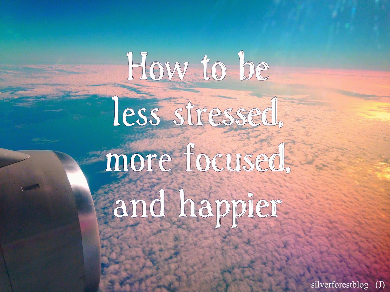 Silver Forest 10 Things To Do To Be Less Stressed More Focused And silver-forest-10-things-to-do-to-be-less-stressed-more-focused-and