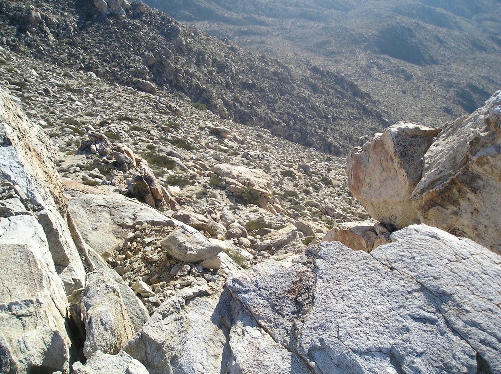 Hiking with Hawks: Jacumba Mountain