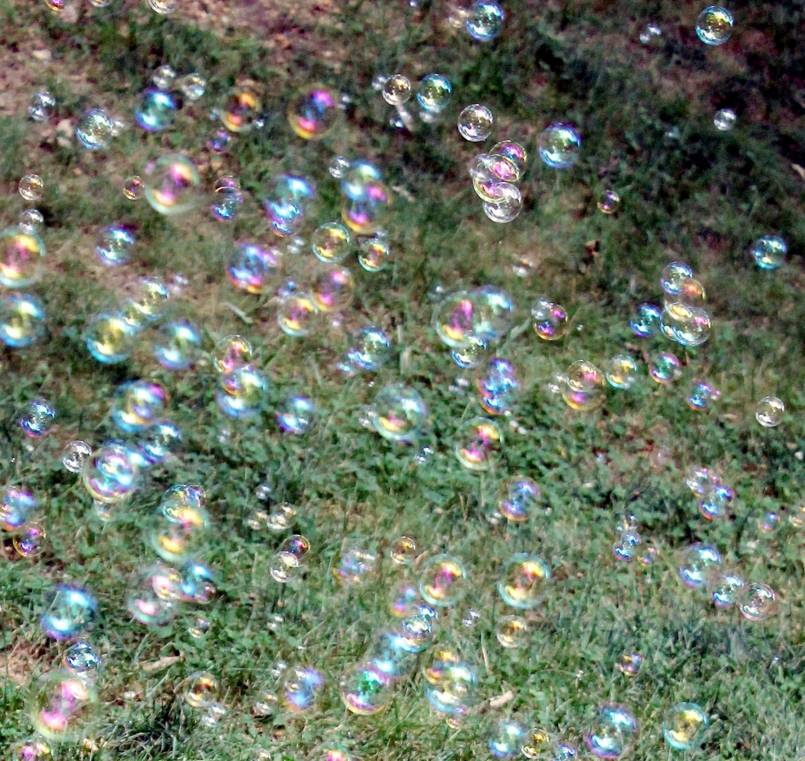 with brush in hand: Tiny Bubbles...