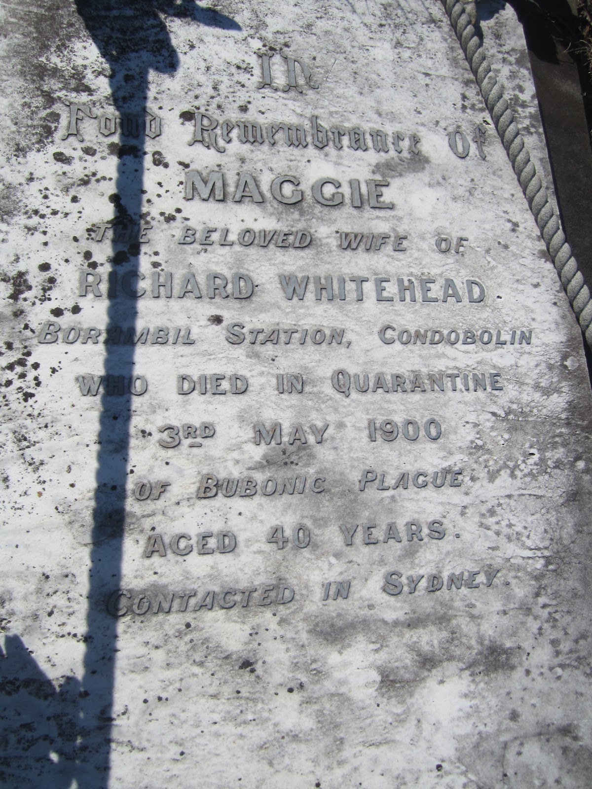 History Services Blog: Third Quarantine Cemetery
