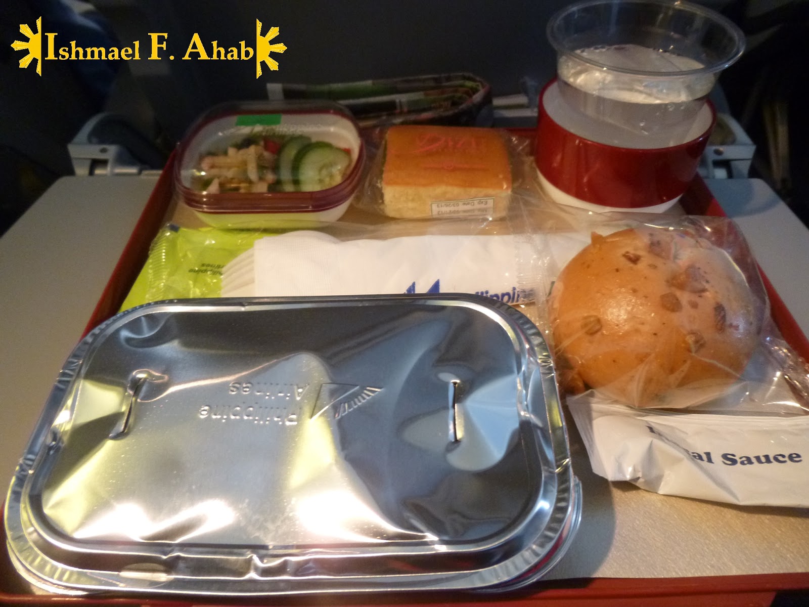 The Bear is Going Home |Filipino Sojourner