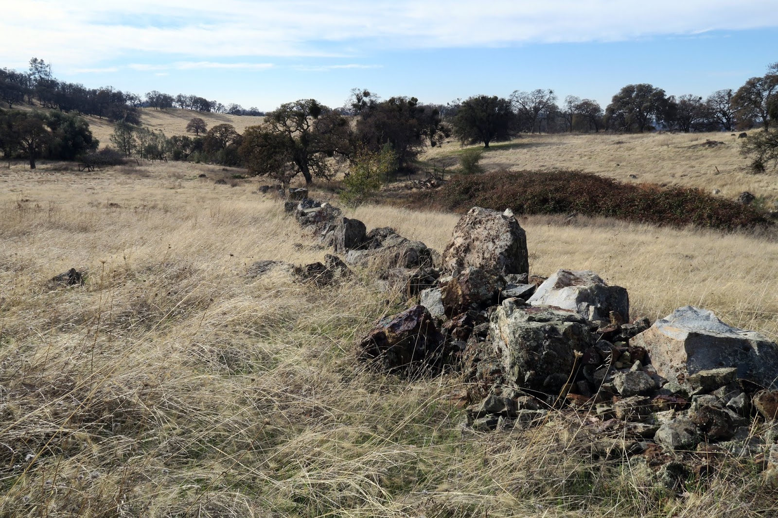 Yuba Trails and Tales: THE SPENCEVILLE WILDLIFE AREA: ROLLING HILLS ...