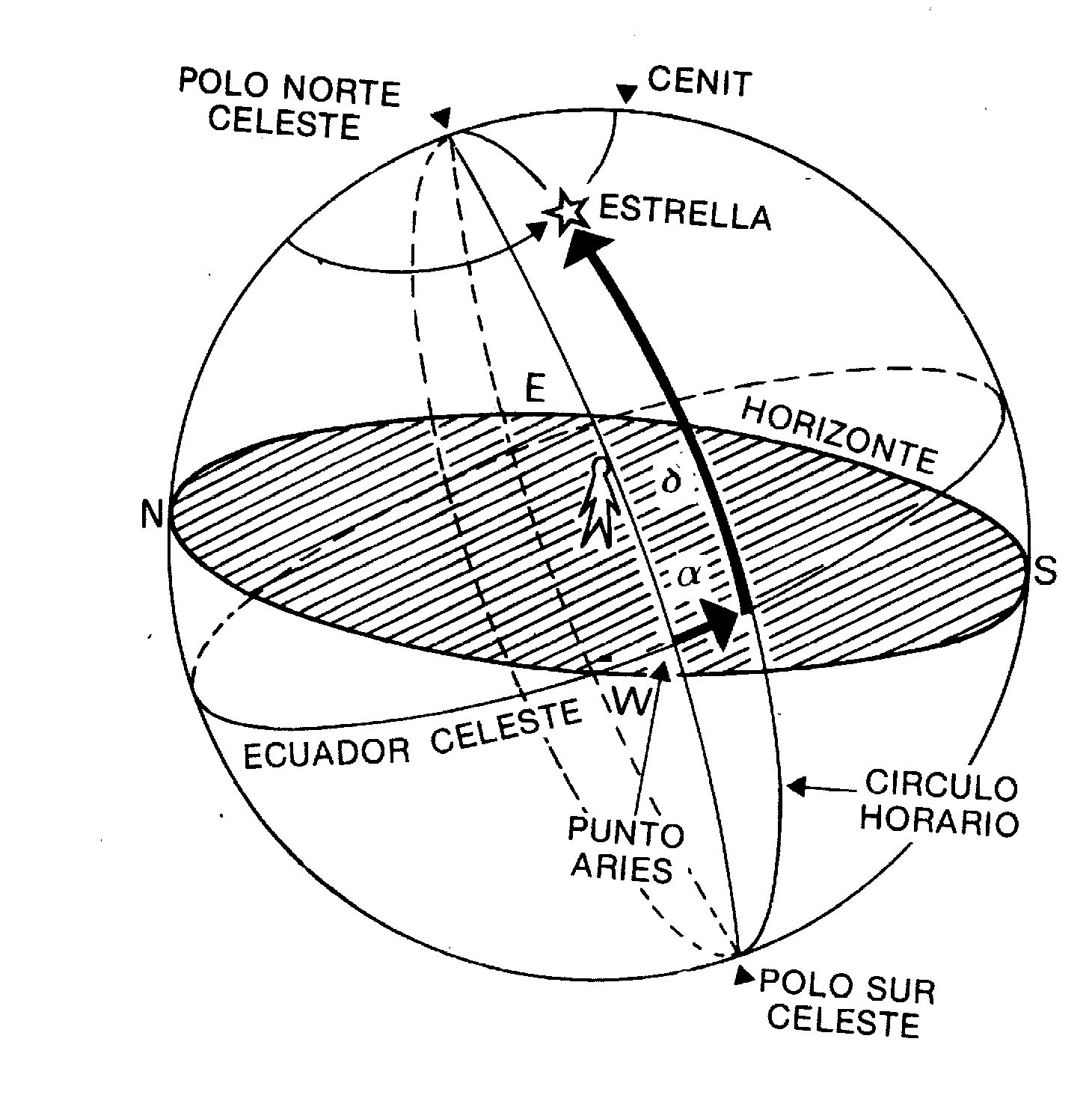 Astronomía Jazmín Palma: ESFERA CELESTE