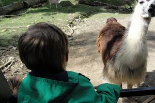 Rolling Ridge Ranch | City Girl, Farm Life