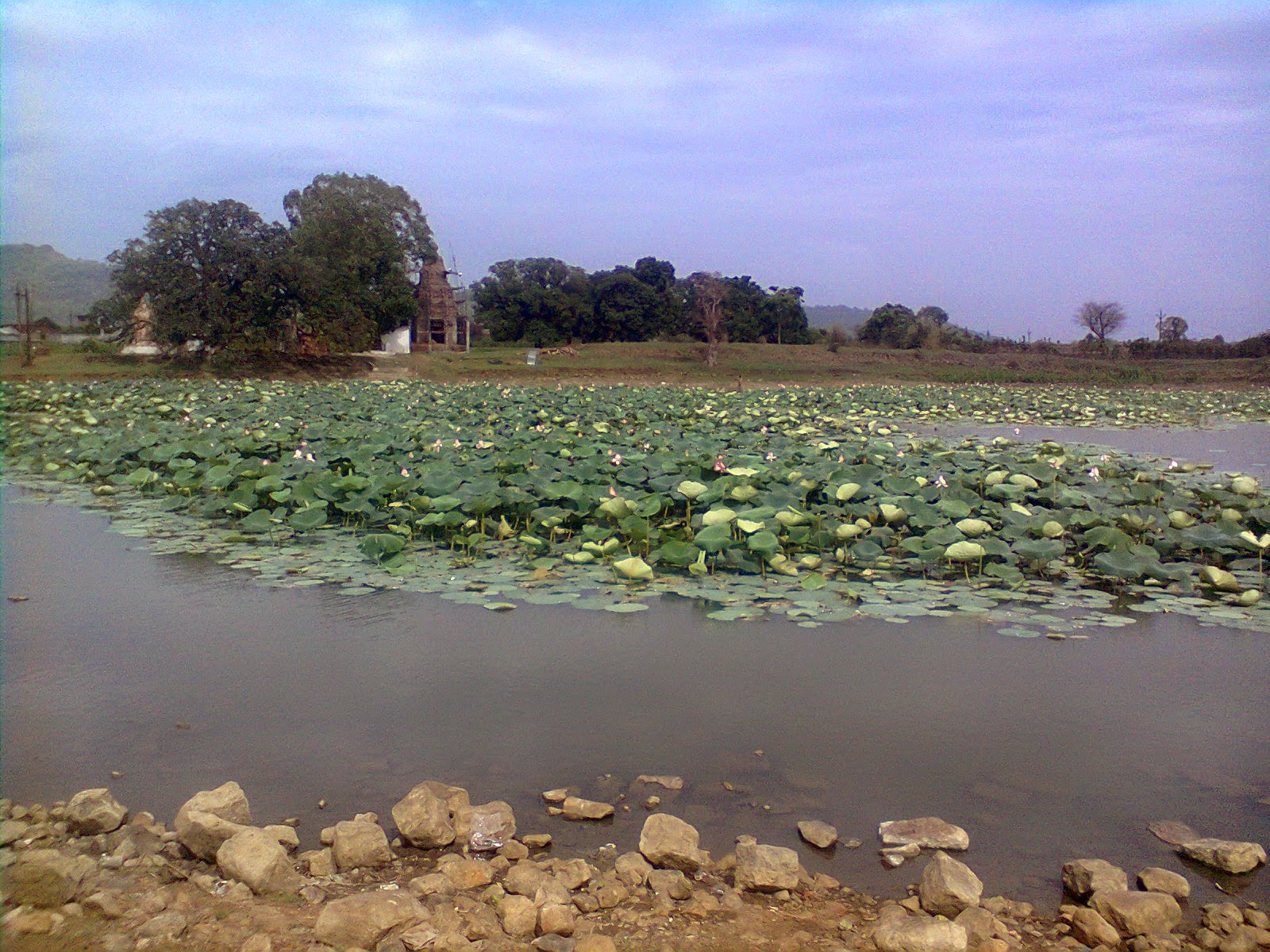 REFORM INDIA: Sahed-sthal of Avanti Bai- BALPUR, Dindori (MP)