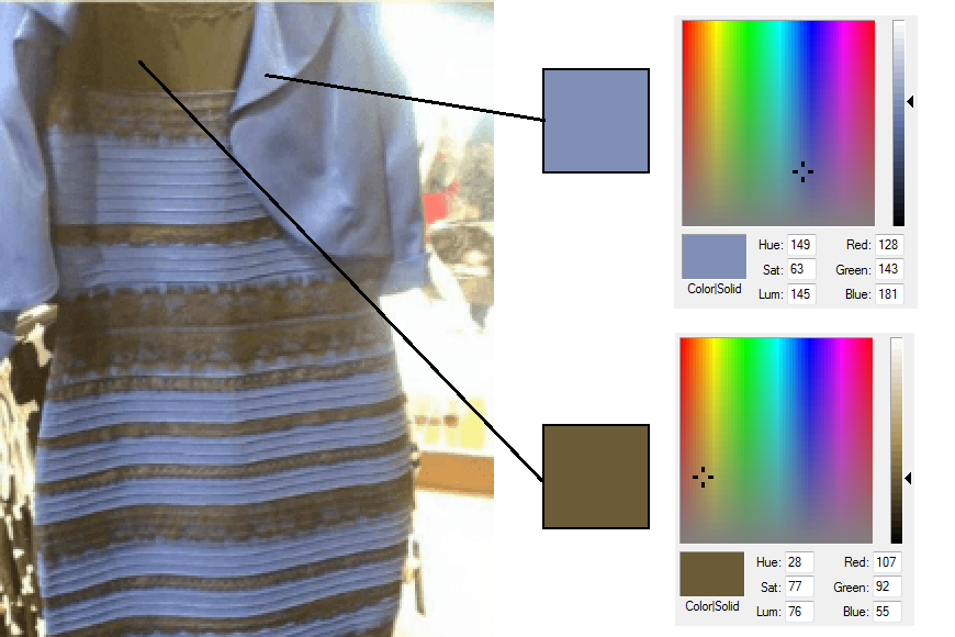 Birding Image Quality Tool: Human Bias - The Dress Viral Phenomenon