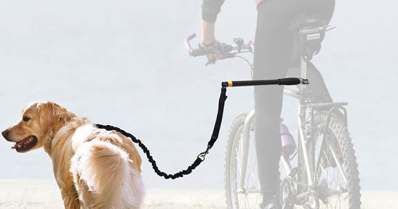 Dog Bike Leash | Australia's Coolest Pet Supplies | Tech Tails™