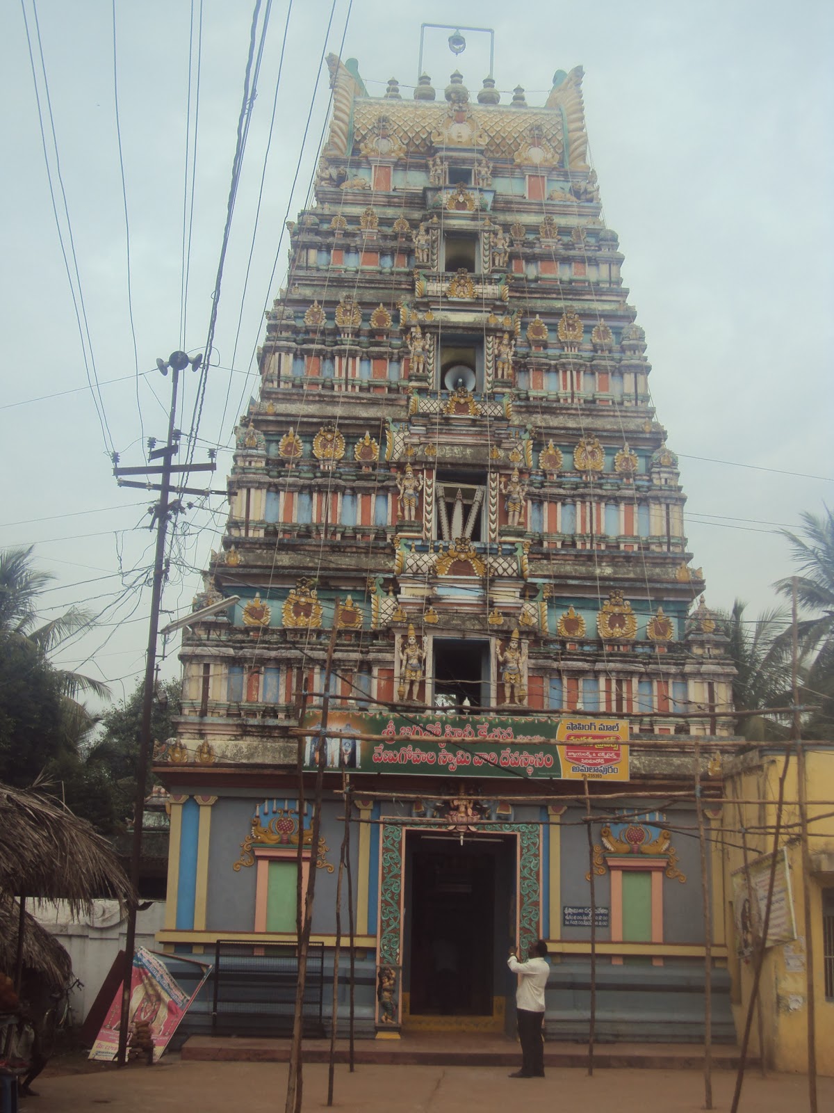 Ryali - JungleKey.in Image