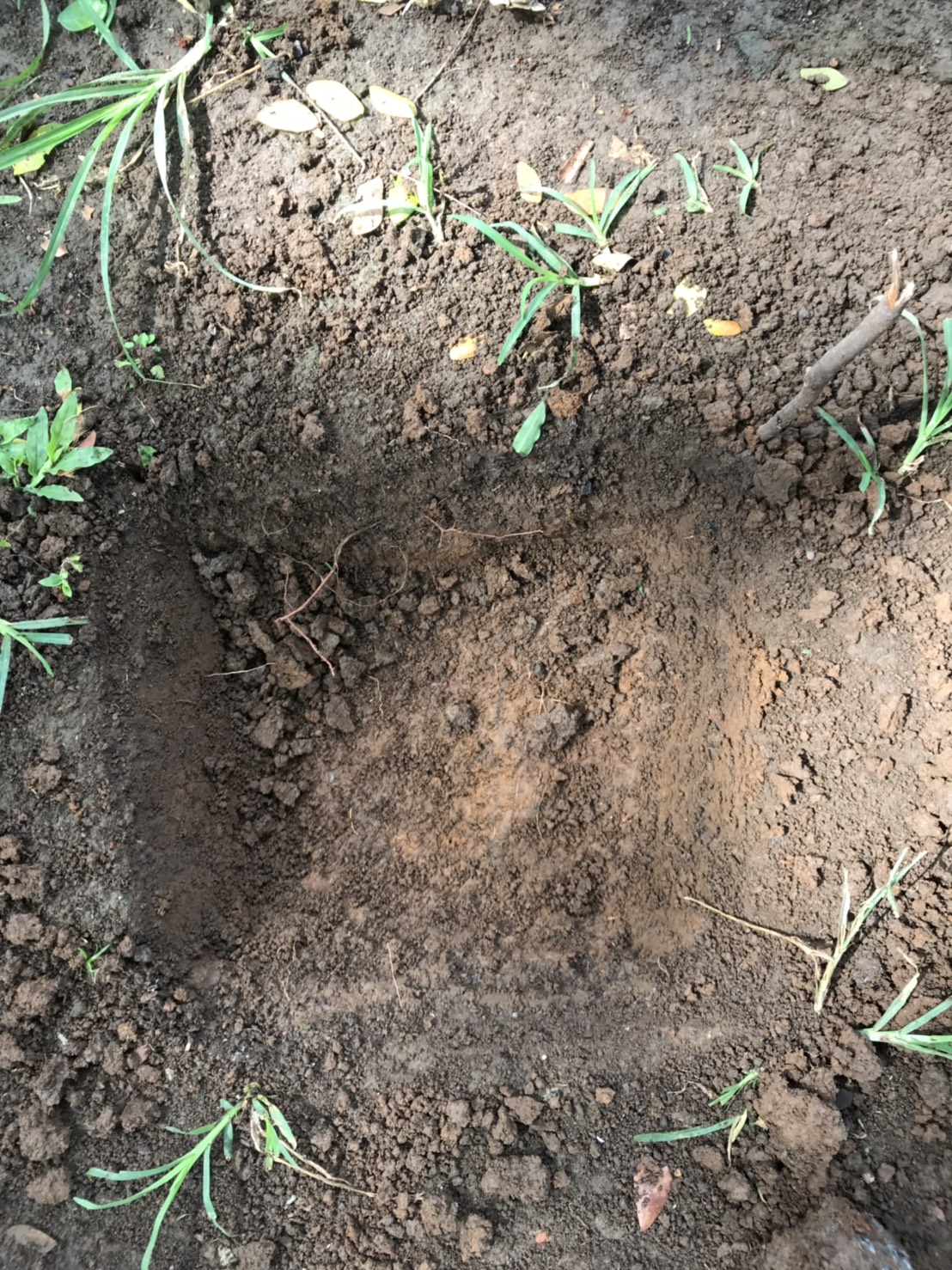 Metode Sampling Hewan Tanah