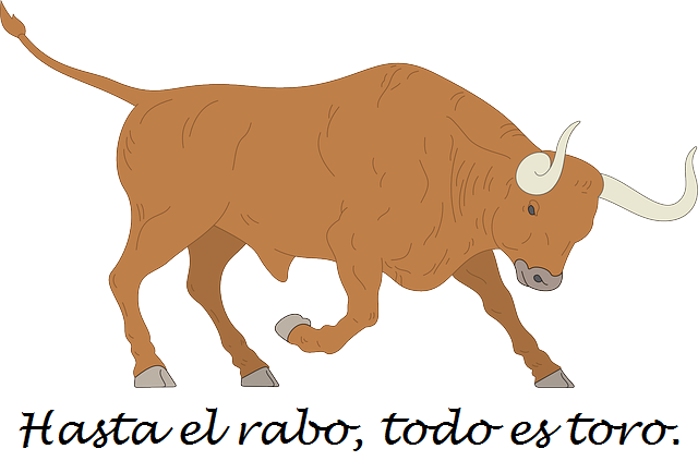 aprendiendo español con Lety y Juanfra: Hasta el rabo, todo es toro