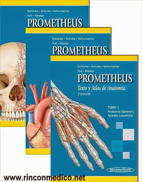 Descargar Gratis Texto y Atlas de Anatomía de Prometheus 3 Tomos 2da ...
