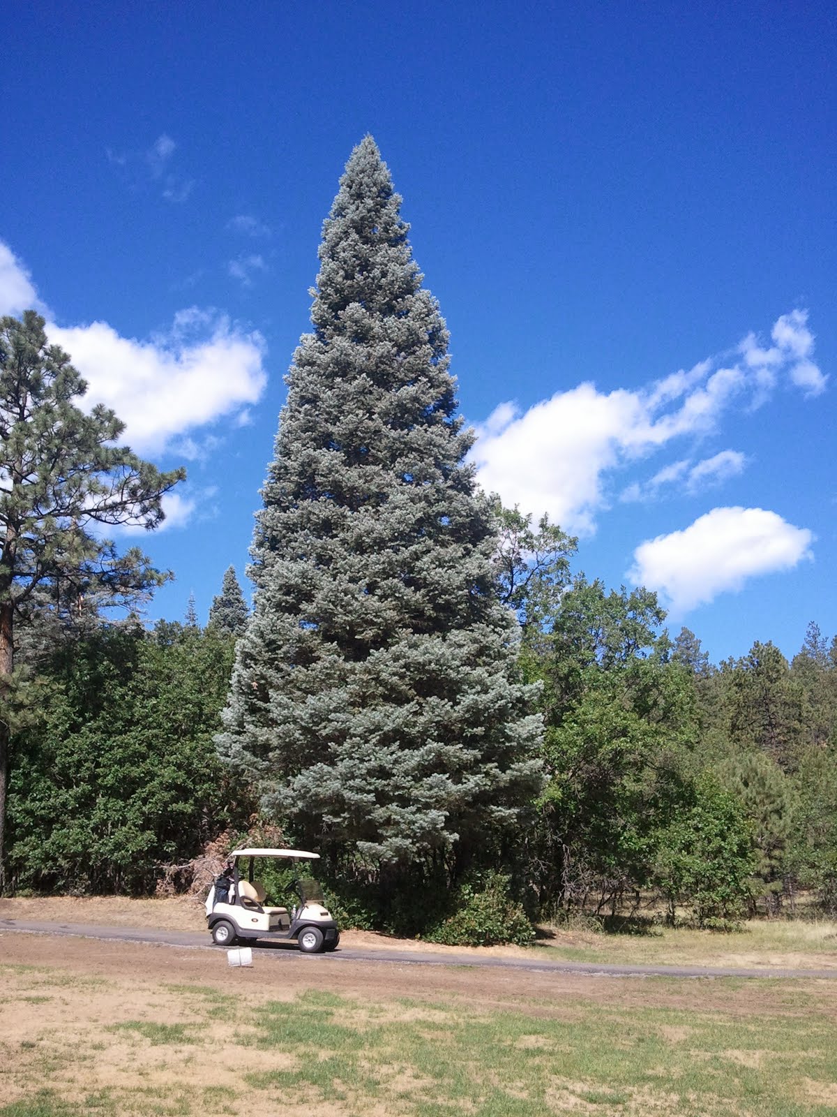 Only in New Mexico: Nature