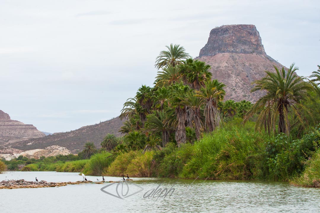 San José y San Miguel de Comondú ~ Tendencia el Arte de Viajar