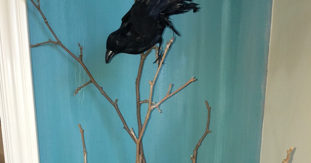 Make My Day Camp: Ravens on Sticks