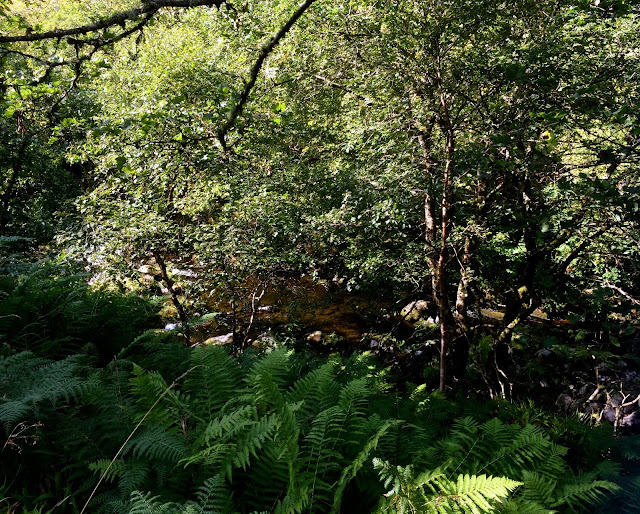Days out in the Borders : Longformacus To The Watch Water Reservoir