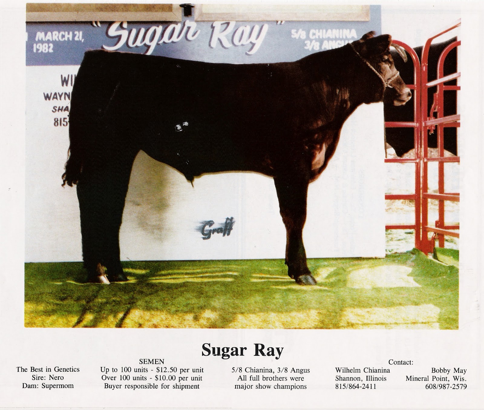 MITTAG Blog: Blast From The Past