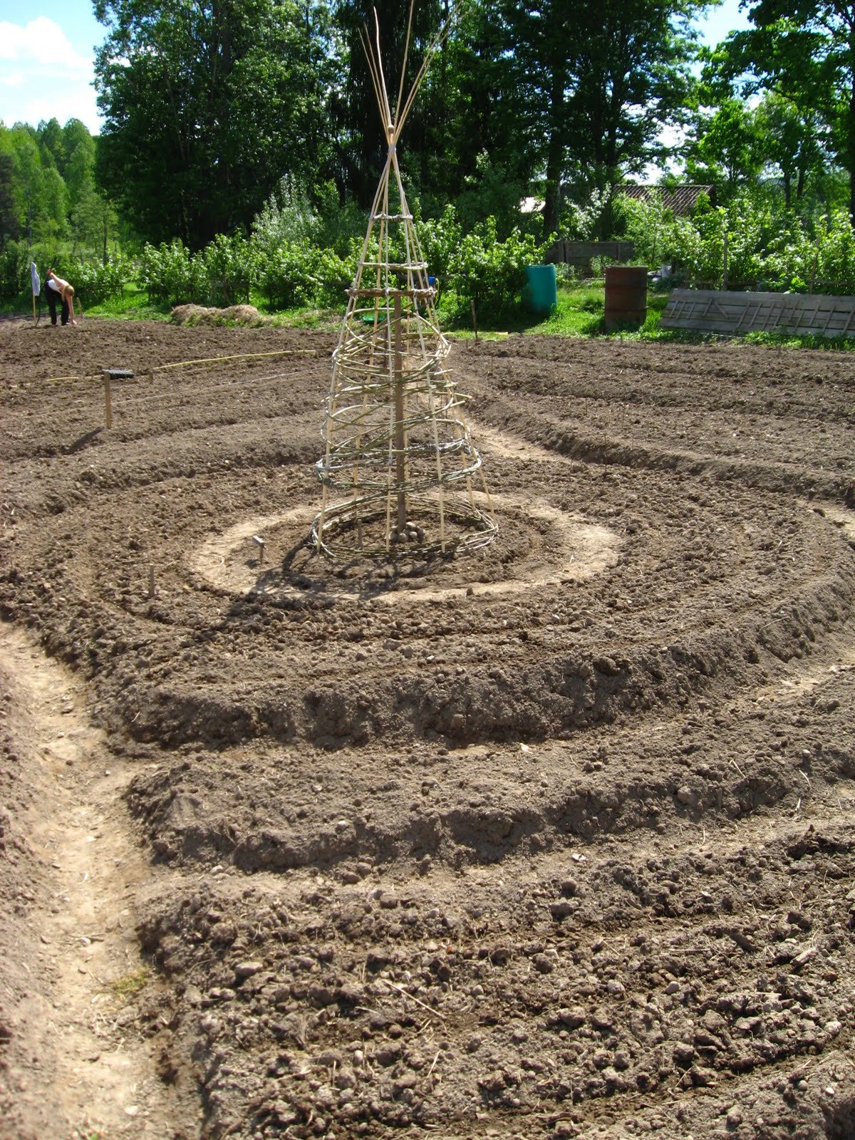 Hantverk och Självhushållning : Växter i jord på friland.