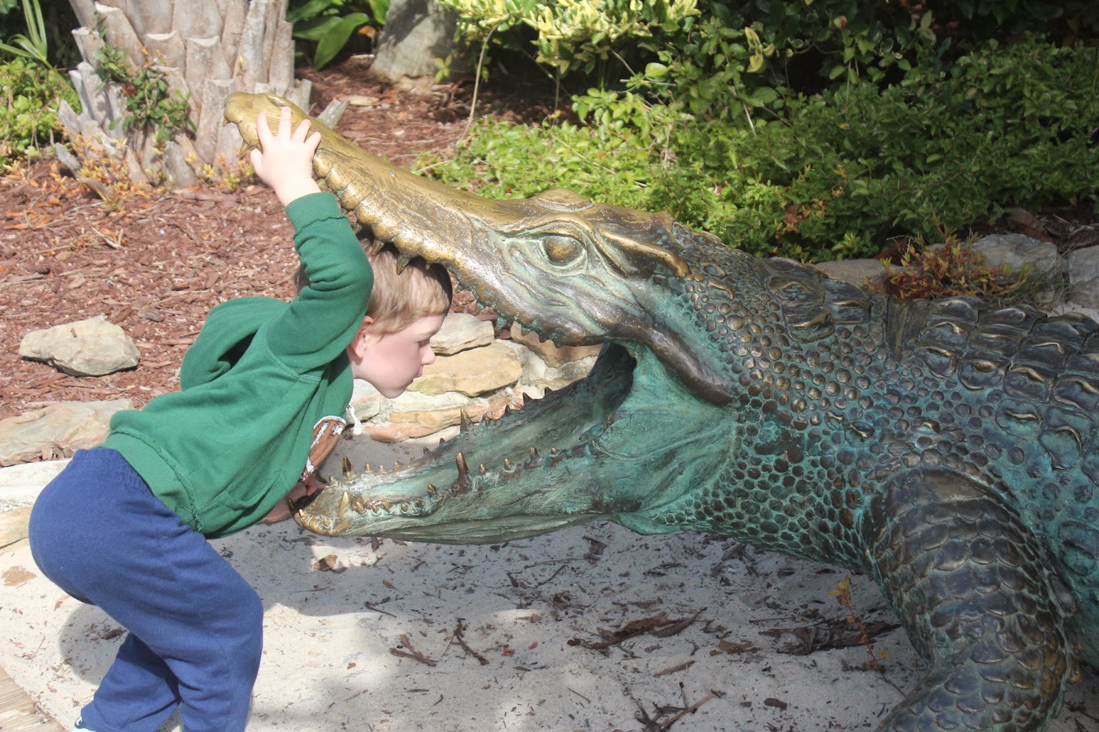 Just picture it...: Myrtle Beach Vacation 2013: Alligator Adventure