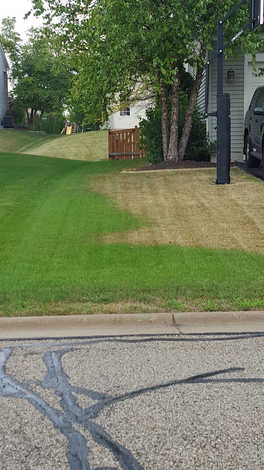 Lawn*Doctor Lawn Care Insights: Turf Alert - Heat stress is coming to a ...