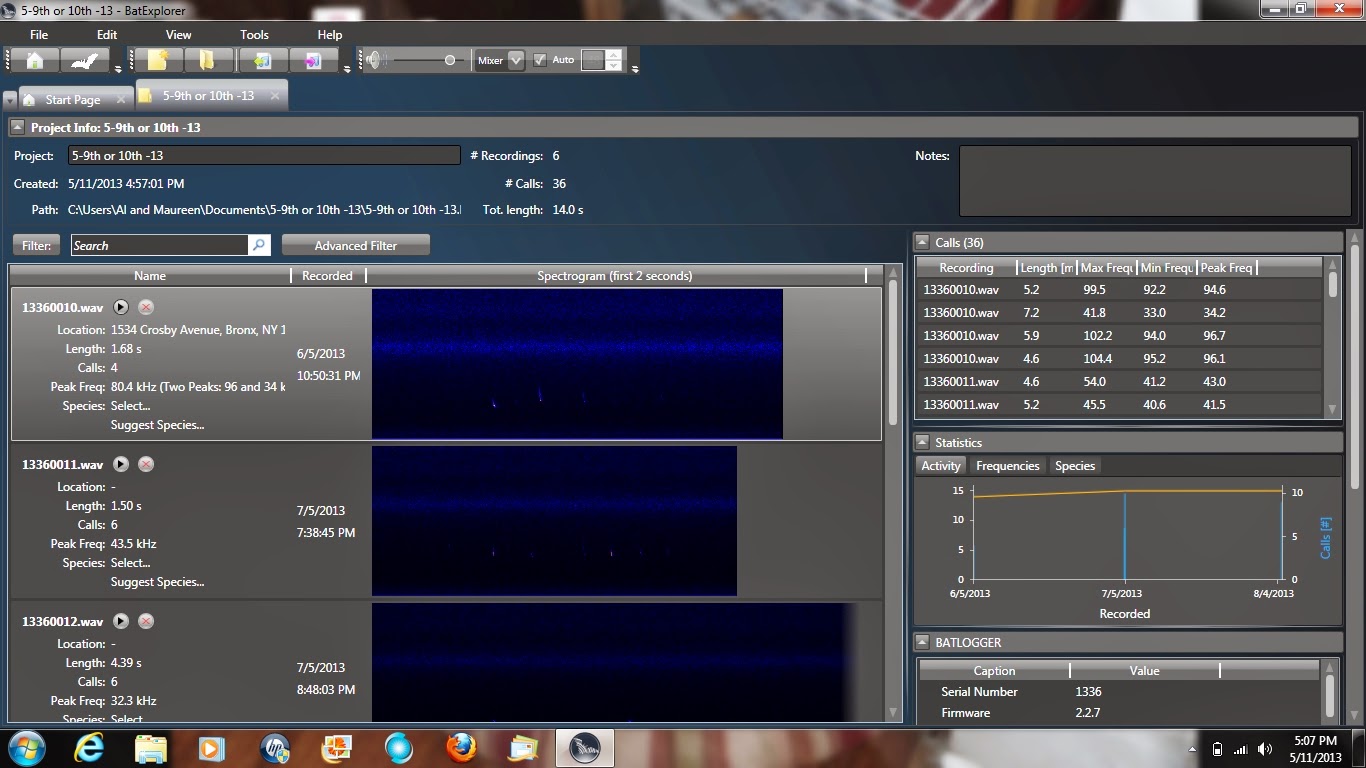 Bat Detector Reviews: Review Of BatExplorer Software From Elekon